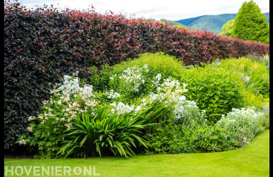 Pijnappels Tuinen in Sint-Oedenrode | Hovenier.nl
