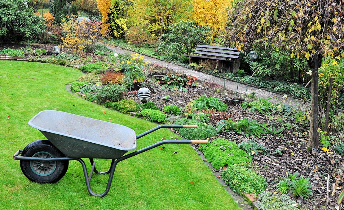 Tuinkalender - Tuinonderhoud In Oktober | Hovenier.nl